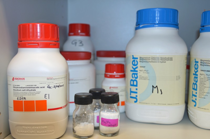 Ordering Inventory Lab Servant